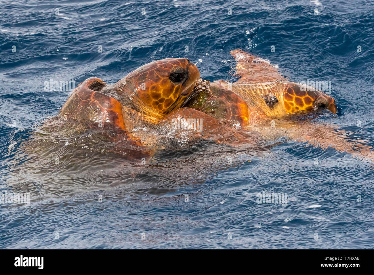 Sao nicolau ocean hi-res stock photography and images - Alamy