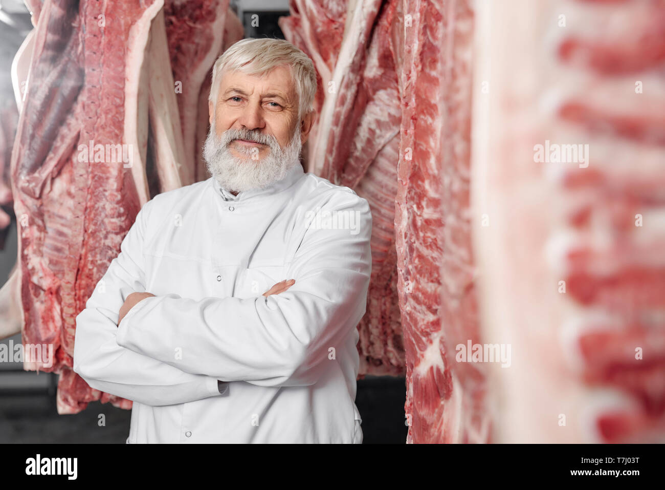 Confident professional butcher wearing in white uniform standing near ...