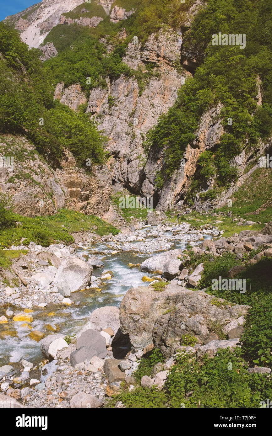 Forested valley hi-res stock photography and images - Alamy