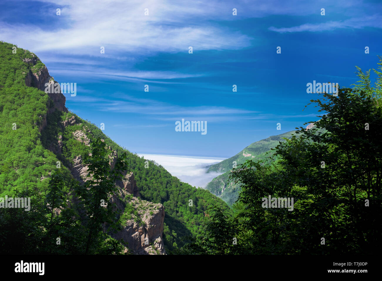 Magical scenery hi-res stock photography and images - Alamy