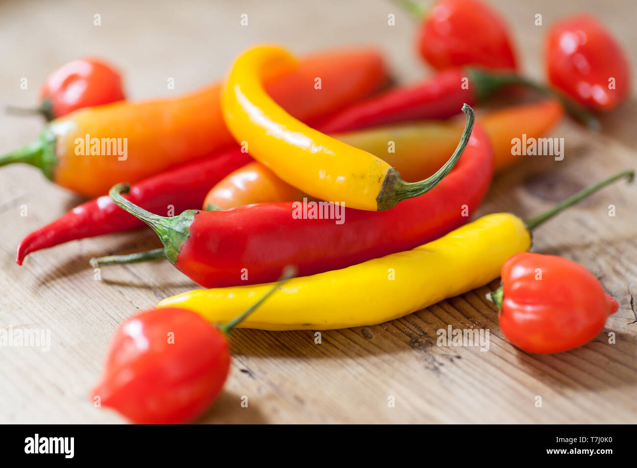 Heap of various chili peppers on a wooden background. Cooking ...