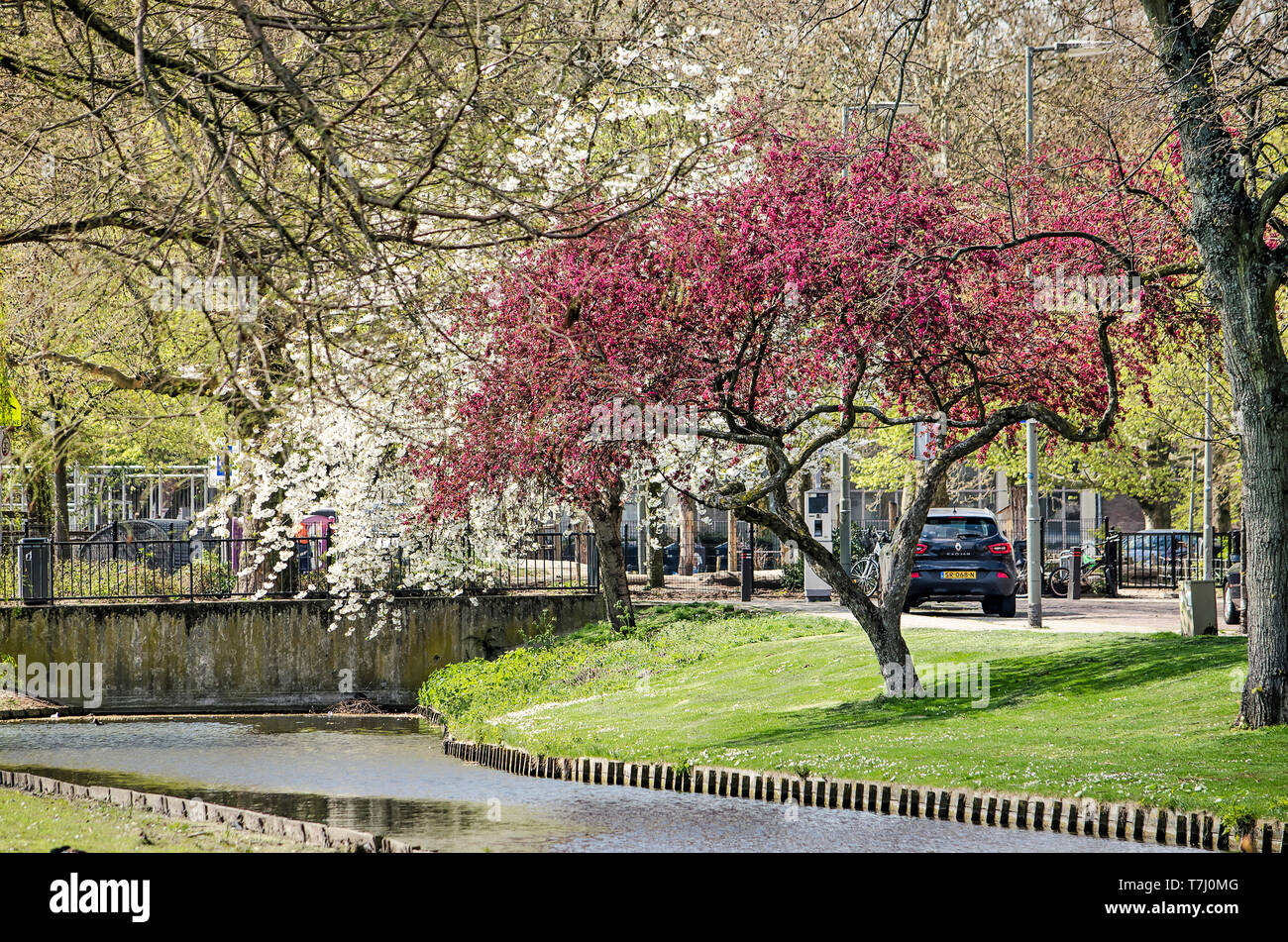 Grass slope hi-res stock photography and images - Alamy