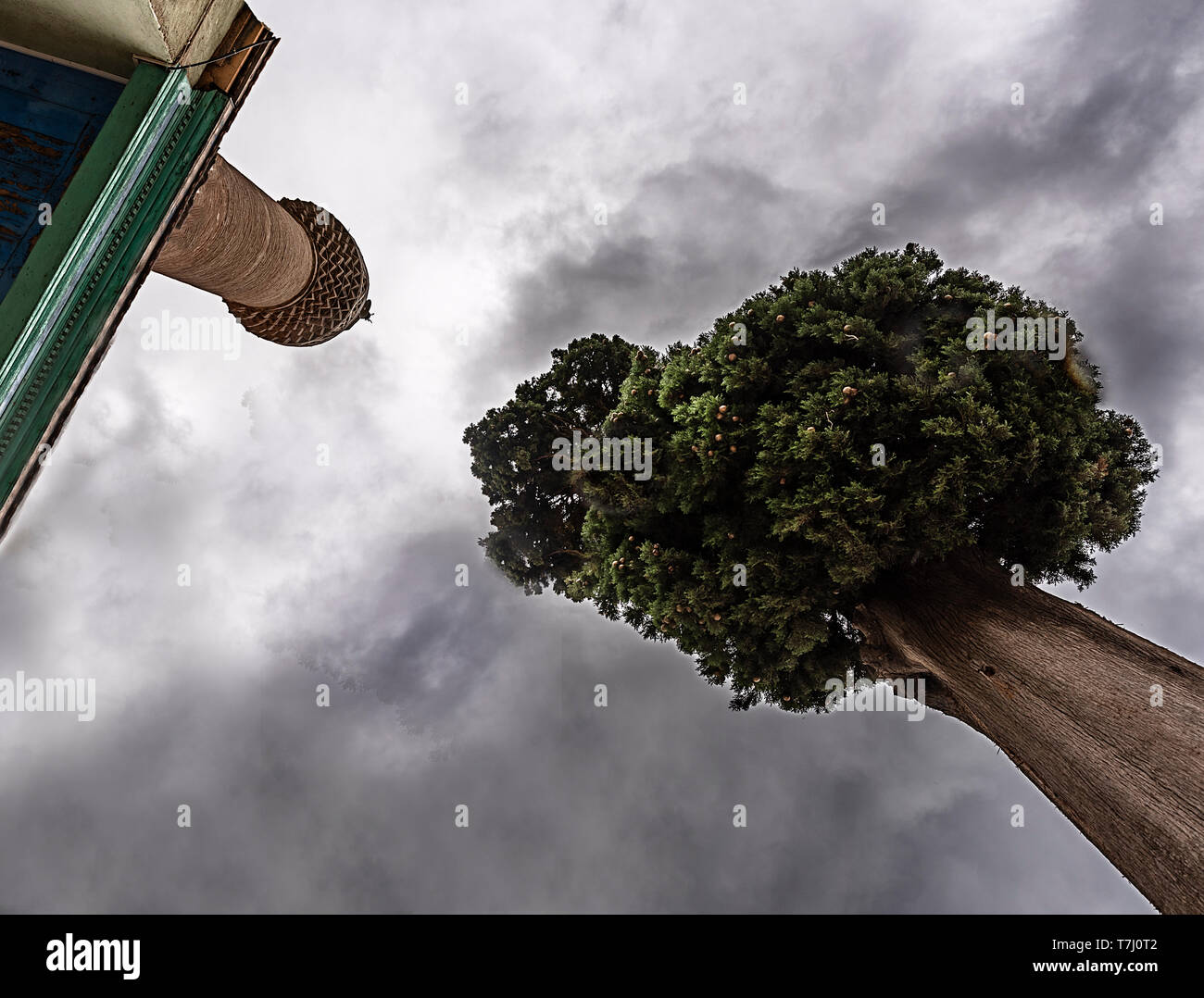 Old foca hi-res stock photography and images - Alamy