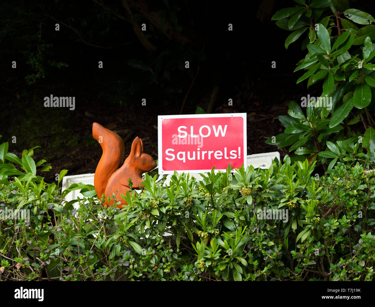 Slow Red Squirrels Sign, Perthshire, Scotland, UK Stock Photo - Alamy