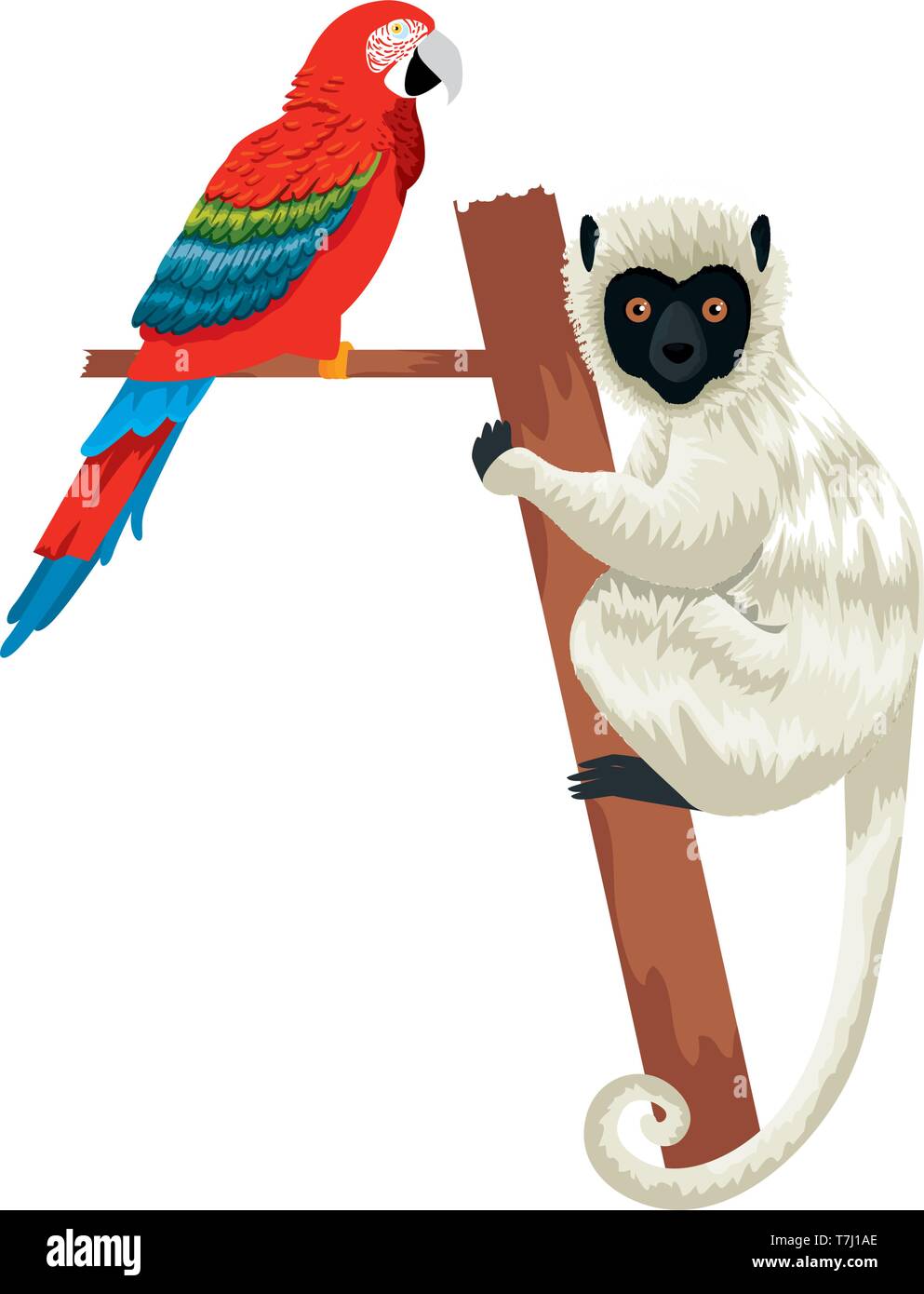 tropical capuchin monkey and parrot Stock Vector Image & Art - Alamy