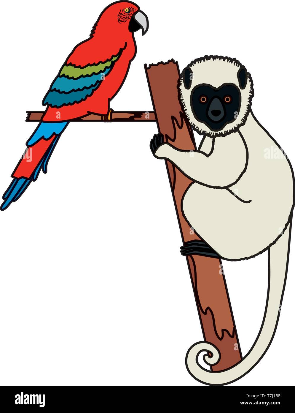 Parrot and monkey hi-res stock photography and images - Alamy