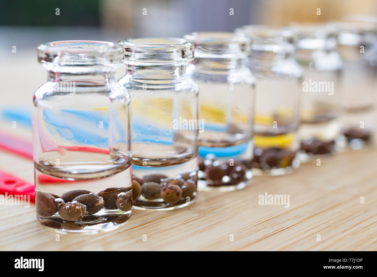 Soaking seeds hi-res stock photography and images - Alamy