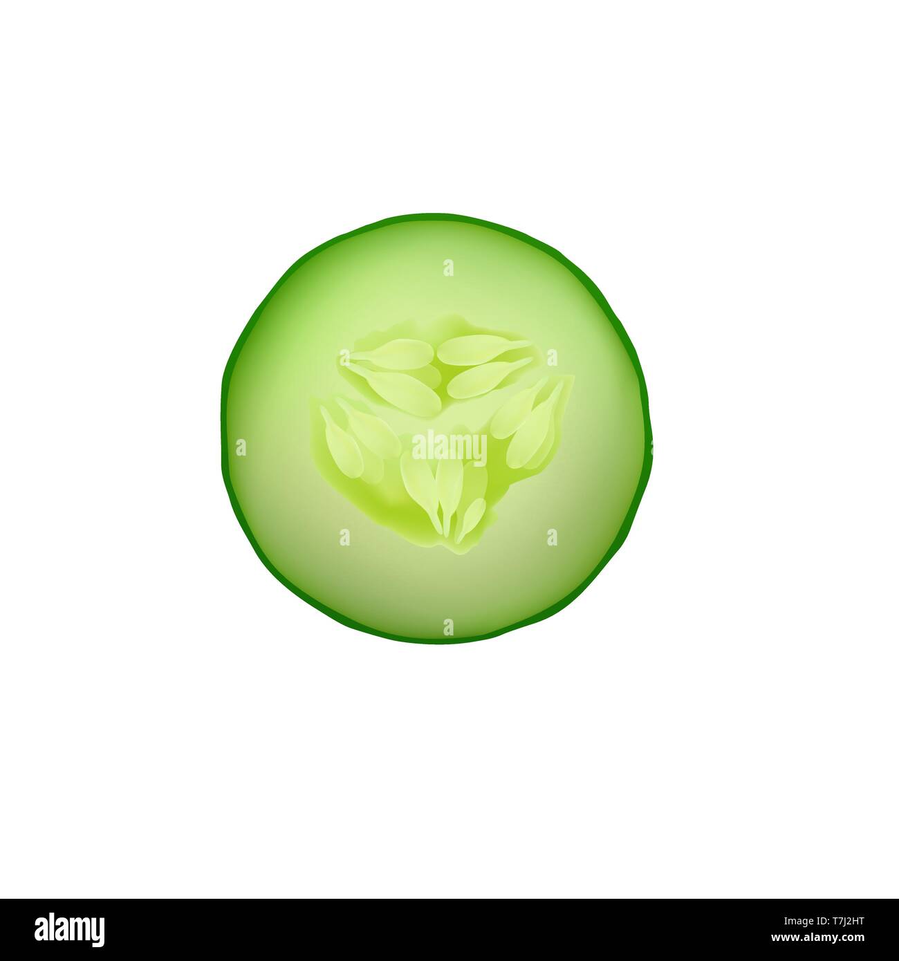 Clipart Cucumber Slice