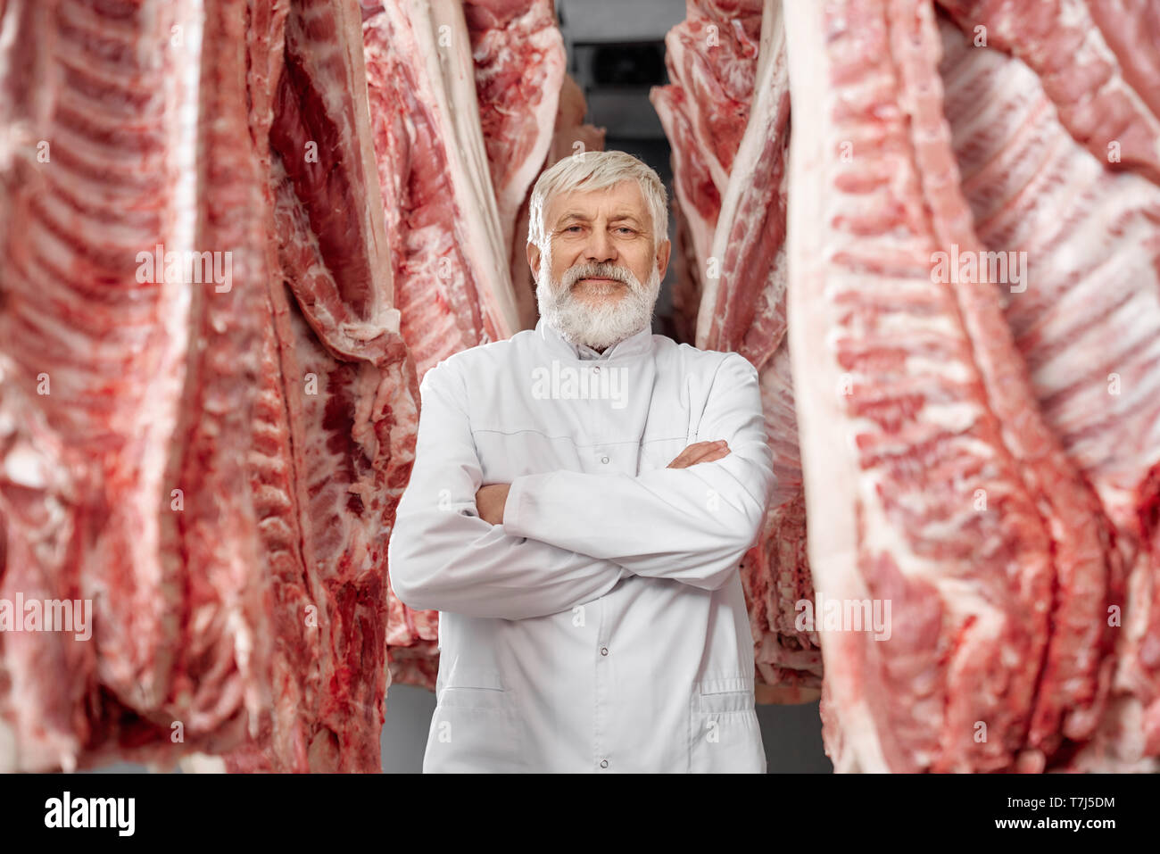 Professional manufacturing hi-res stock photography and images - Alamy