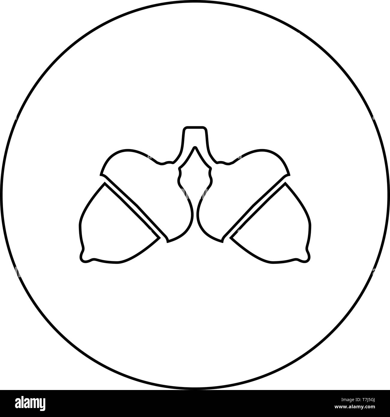 Two acorn icon in circle round outline black color vector illustration ...