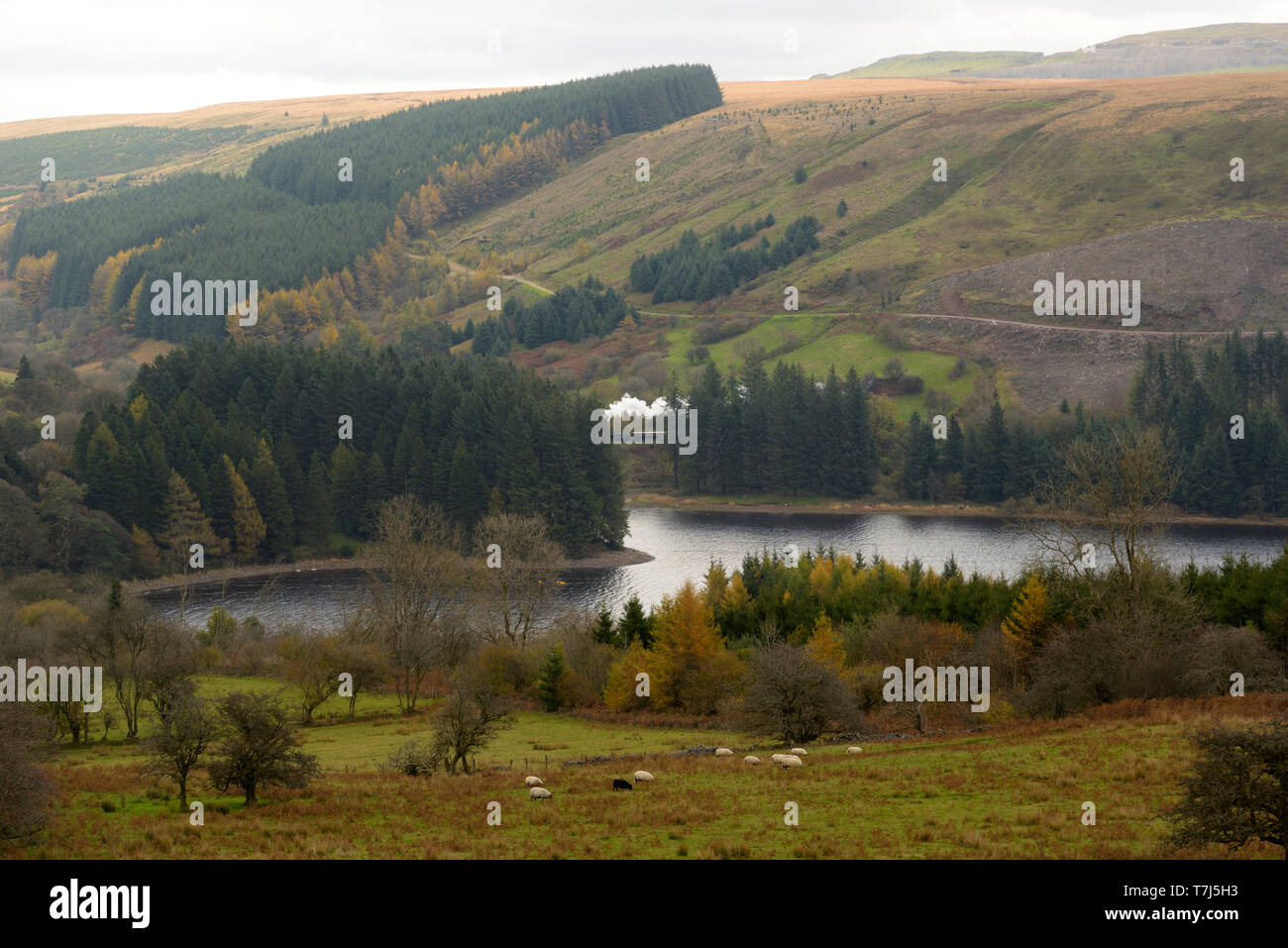 Merthyr railway hi-res stock photography and images - Alamy