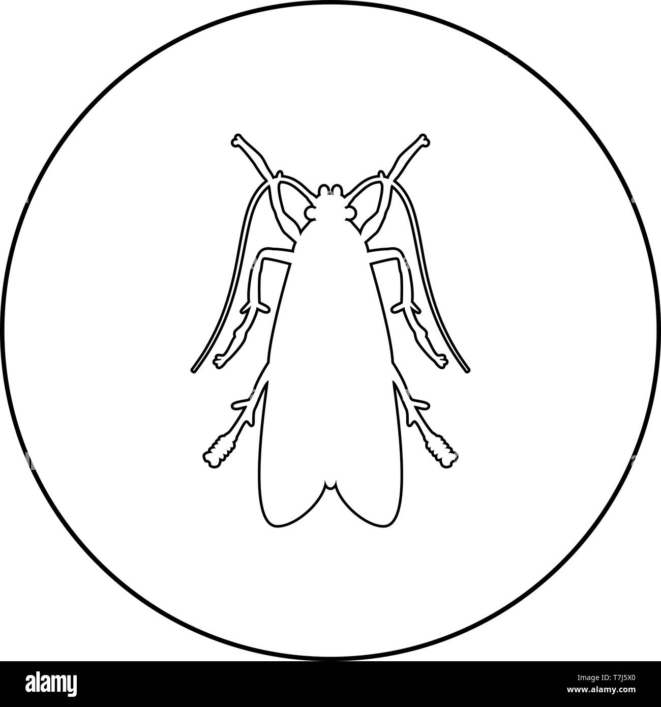 Moth outline icon Stock Vector Images - Alamy