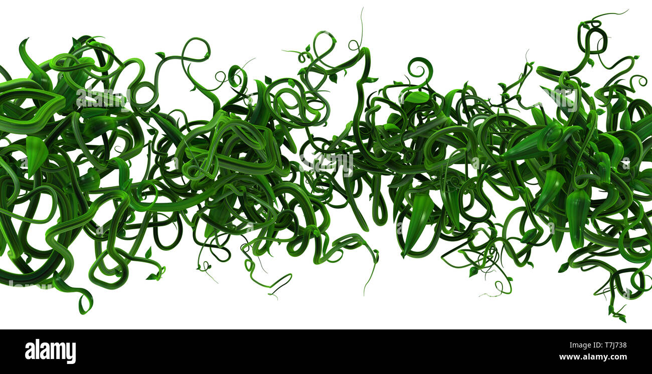 Plant vines green dense growth bunches line, 3d illustration ...