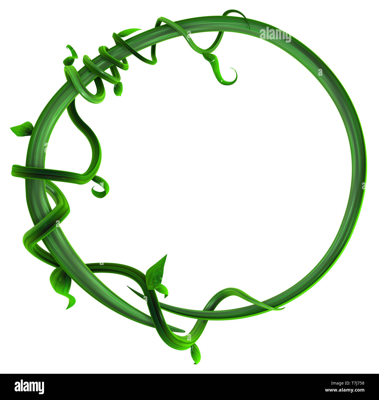 Plant vines green growing twisting ring loop, 3d illustration ...