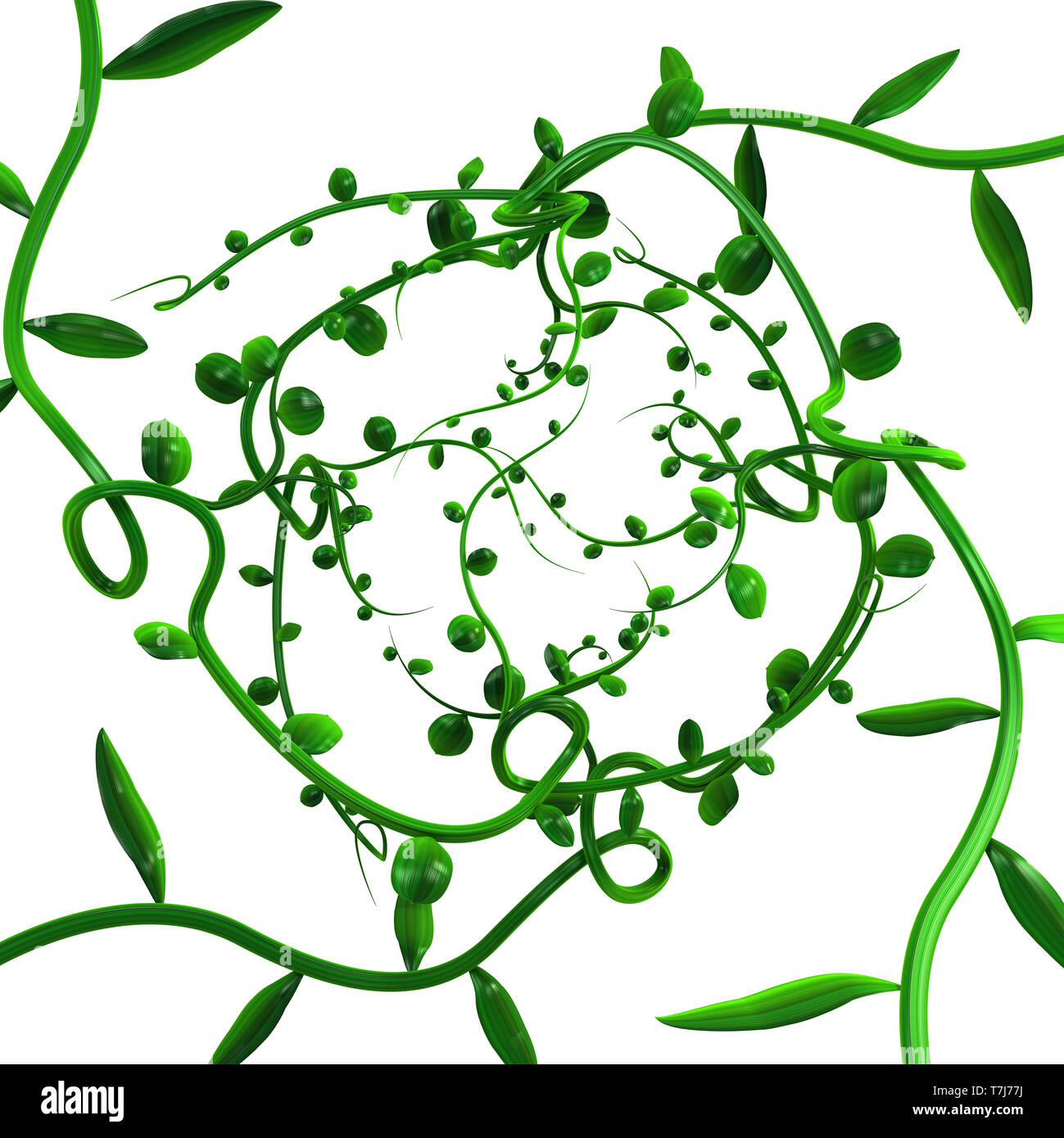 Plant vines green growing twisting round leaves spiral, 3d illustration ...