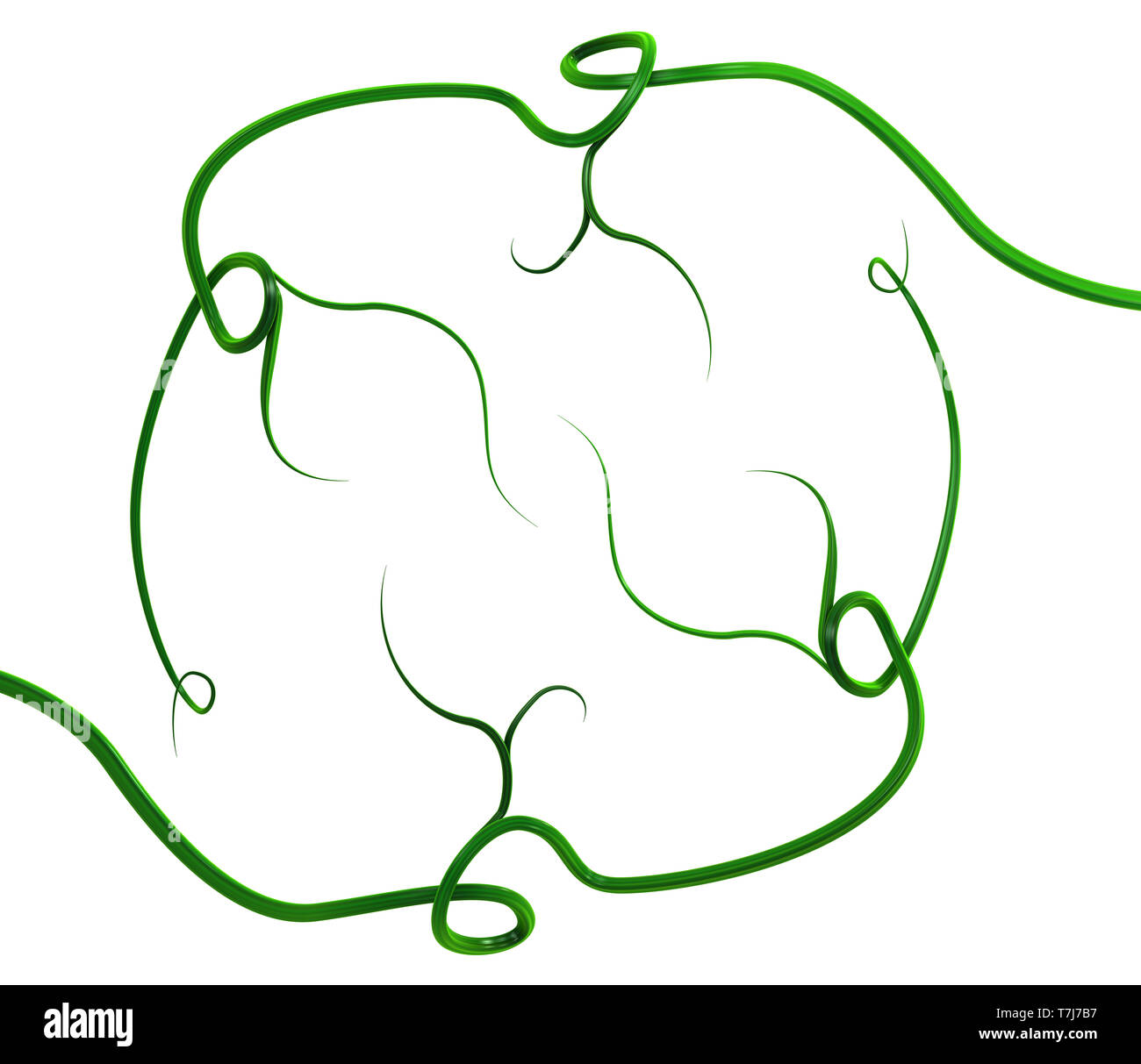 Plant vines green growing twisting tendril curves, 3d illustration ...