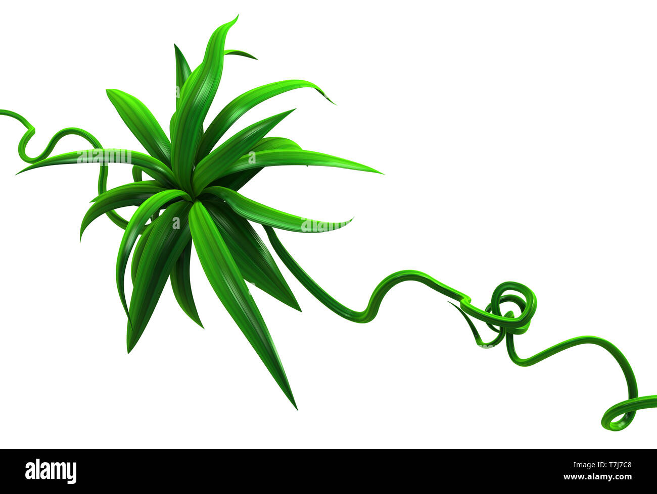 Plant vines green growing twisting thin leaves bunch, 3d illustration ...