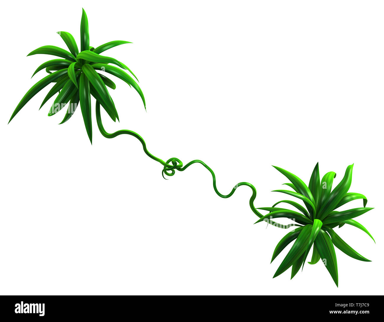Plant vines green growing twisting thin leaves bunches, 3d illustration ...