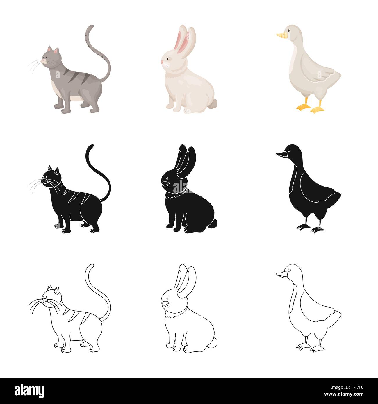 Vector design of breeding and kitchen icon. Set of breeding and organic ...
