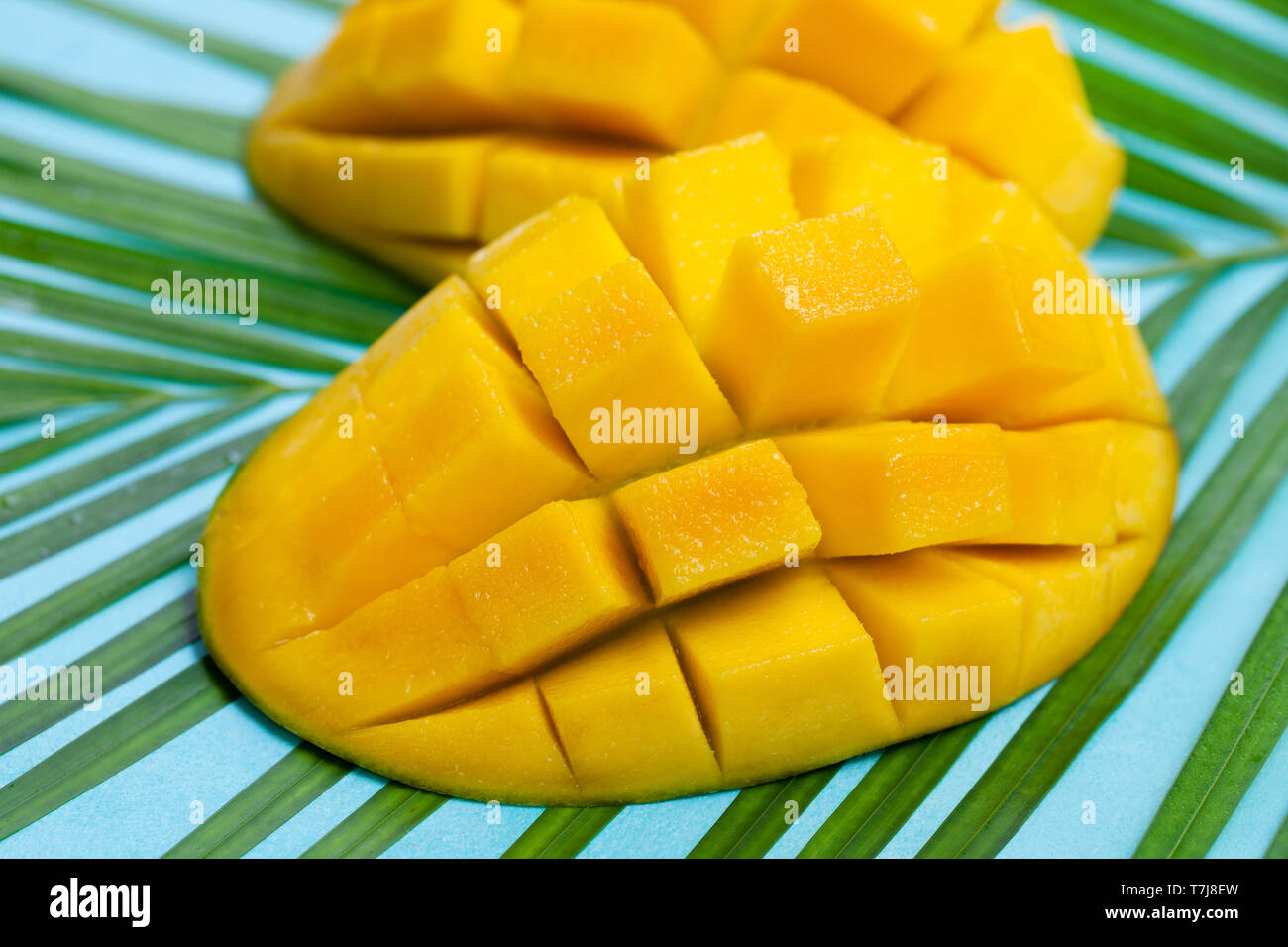 Fresh mango organic product on a palm leaf. Blue background. Close up ...