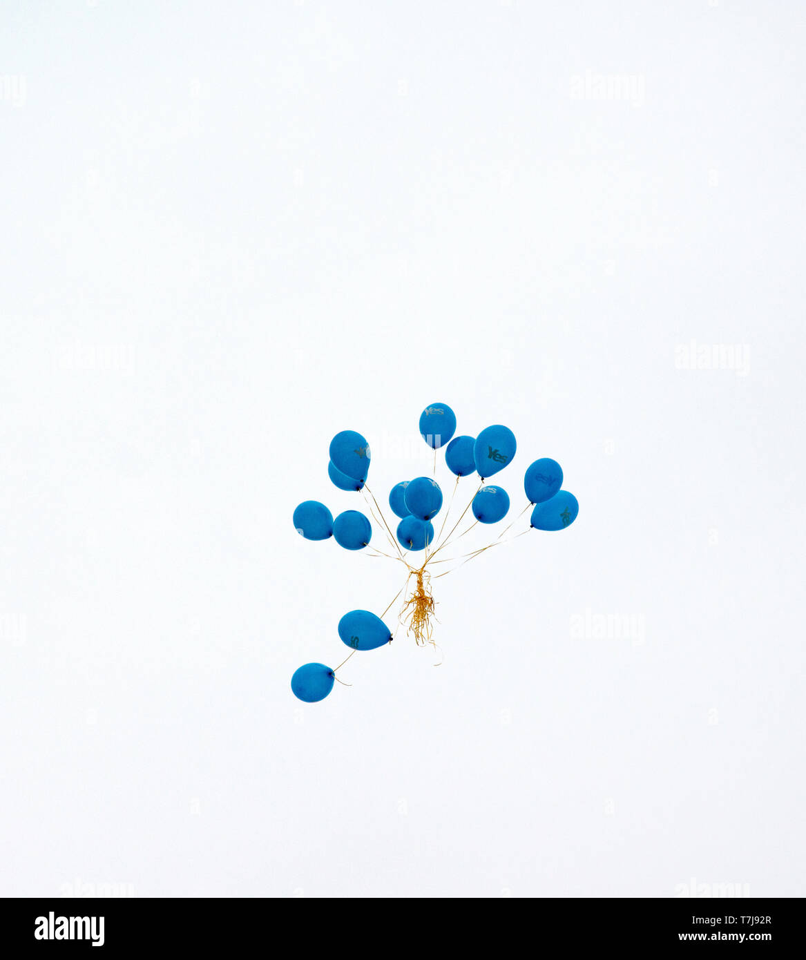 Balloons scotland hi-res stock photography and images - Alamy
