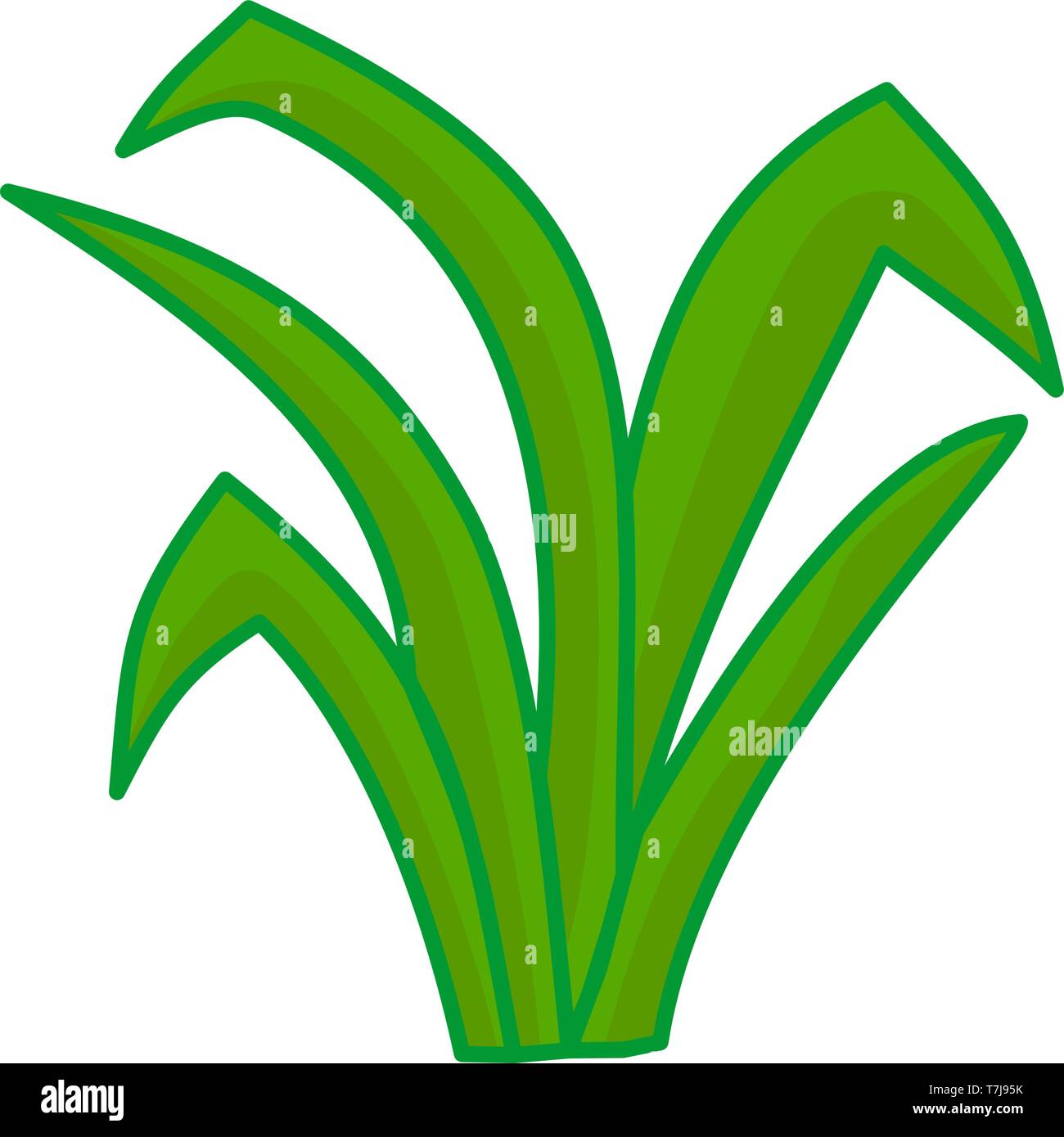 Grass leaves vector Cartoon illustration Design Graphic Stock Vector ...