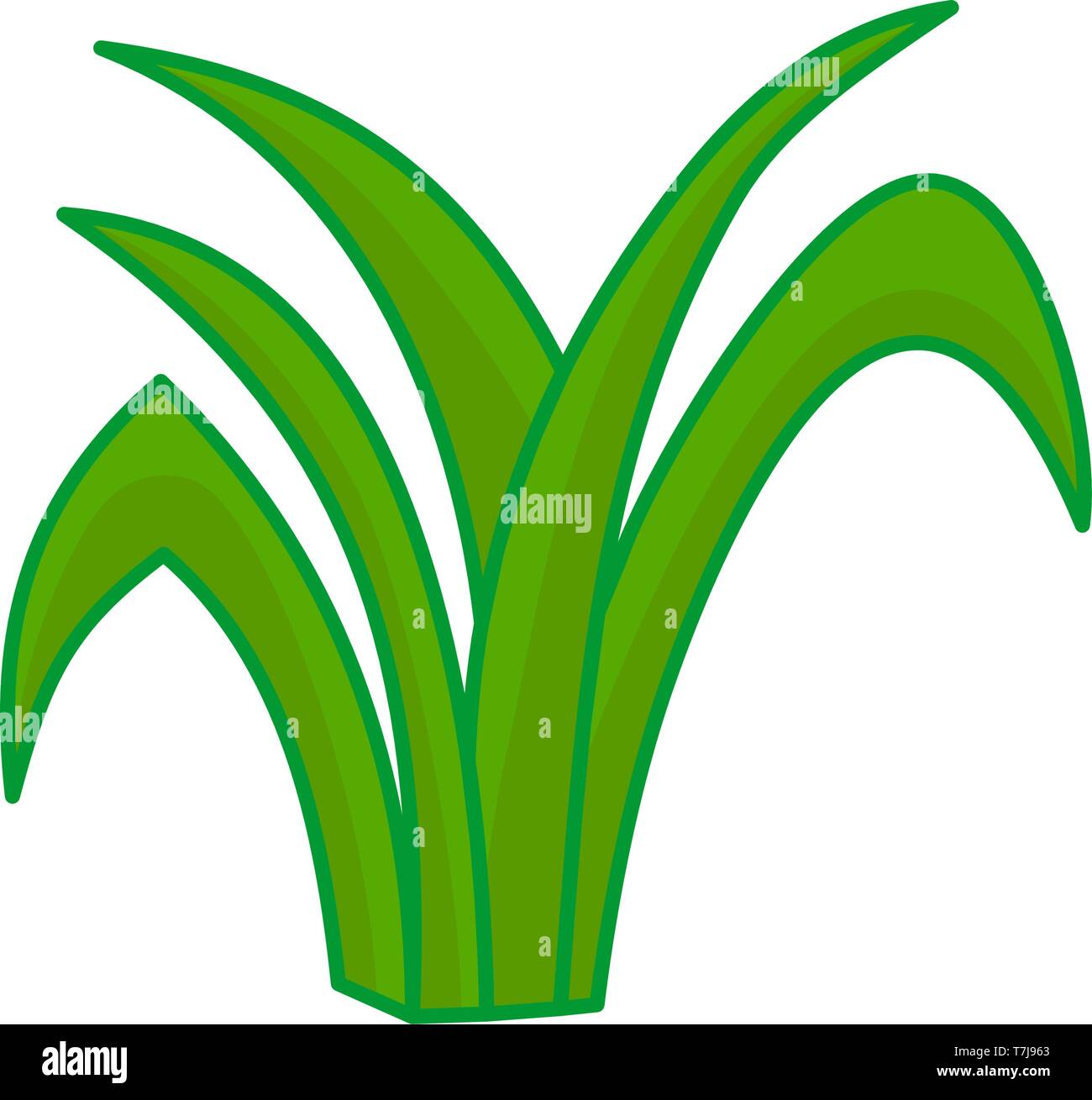 Reed blade Stock Vector Images - Alamy