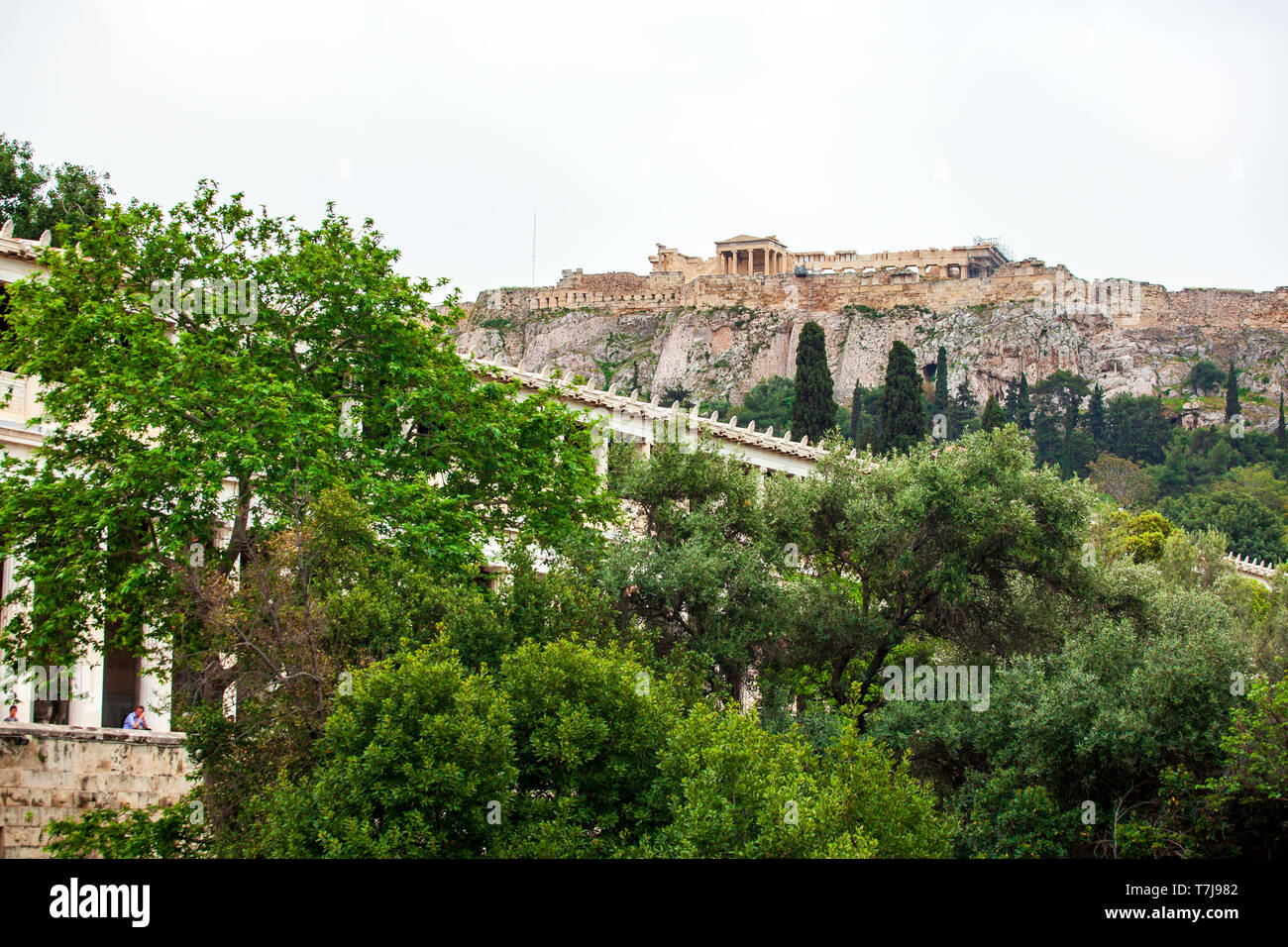 Parthenon temple in Acropolis at Athens, center on Athens, Greece Stock ...