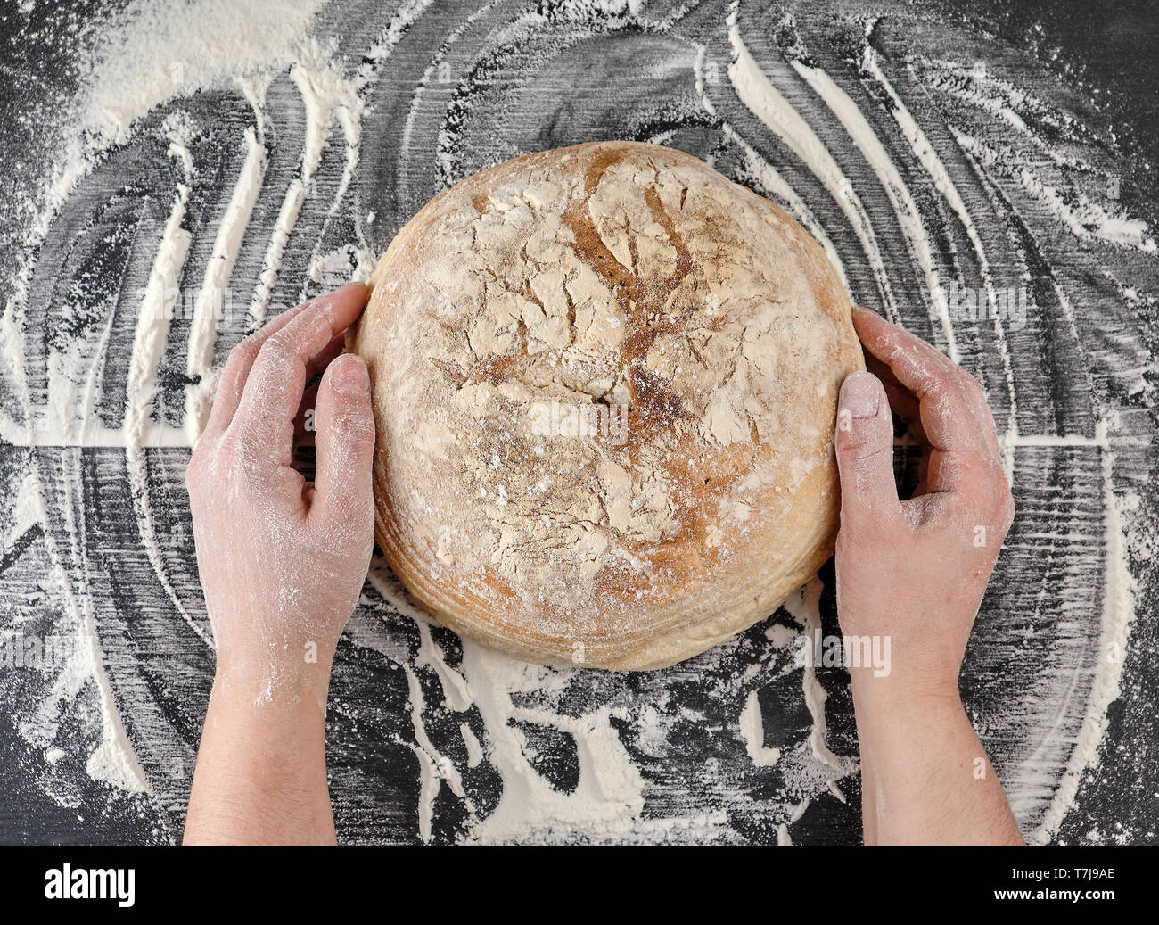 female hands holding round baked bread on a table with flour, top view ...