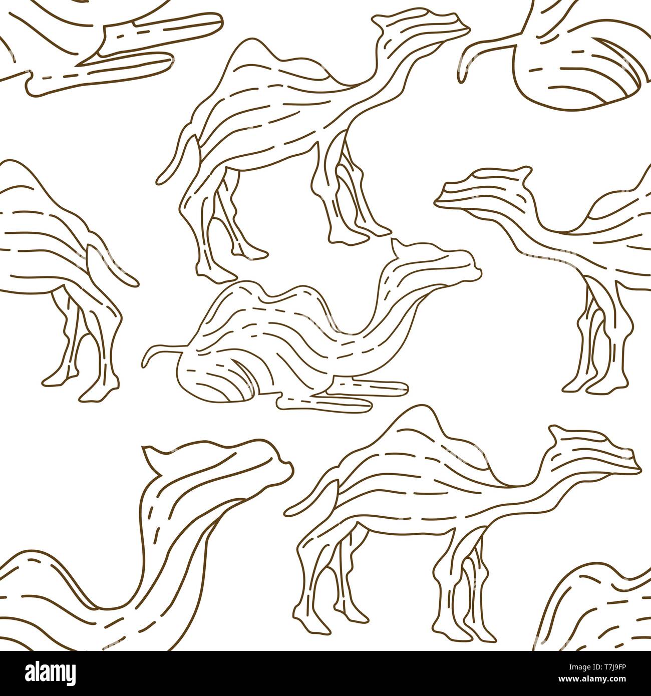 Arabian camel graphic with pattern hi-res stock photography and images ...