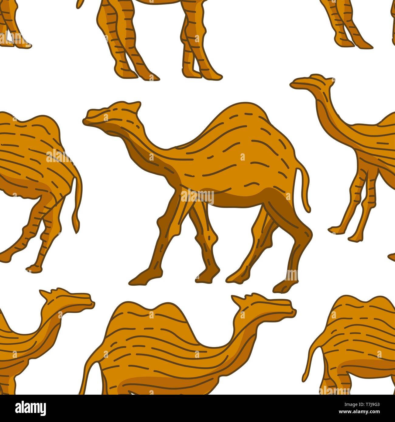 Emirates zoo Stock Vector Images - Alamy