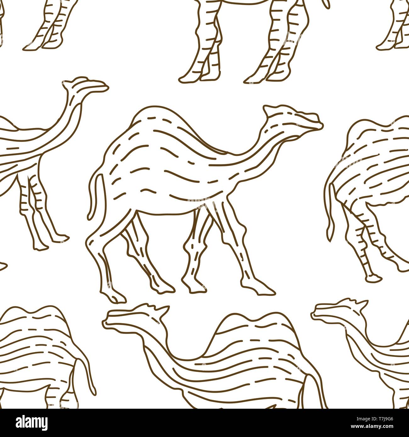 Arabian camel graphic with pattern hi-res stock photography and images ...