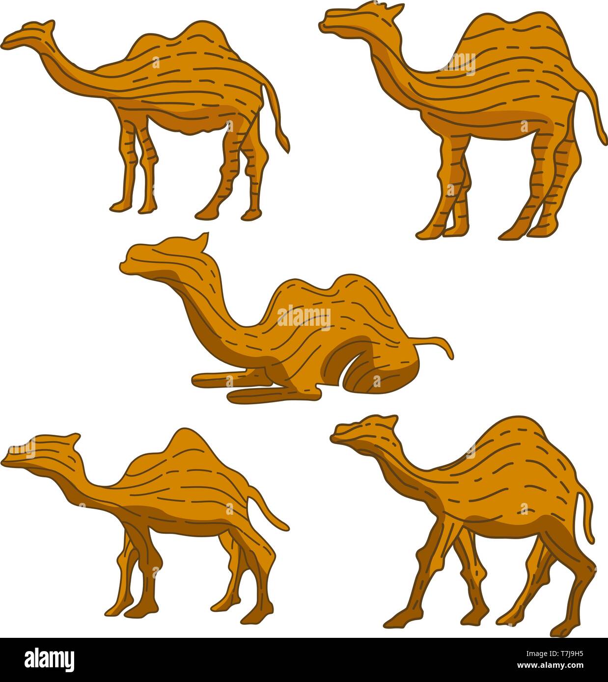 Camel Illustration Animal Vector Design Stock Vector Image & Art - Alamy