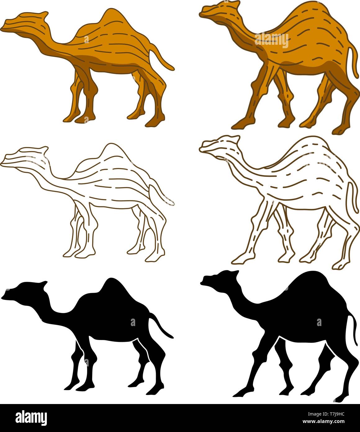 Camel Illustration Animal Vector Design Stock Vector Image & Art - Alamy