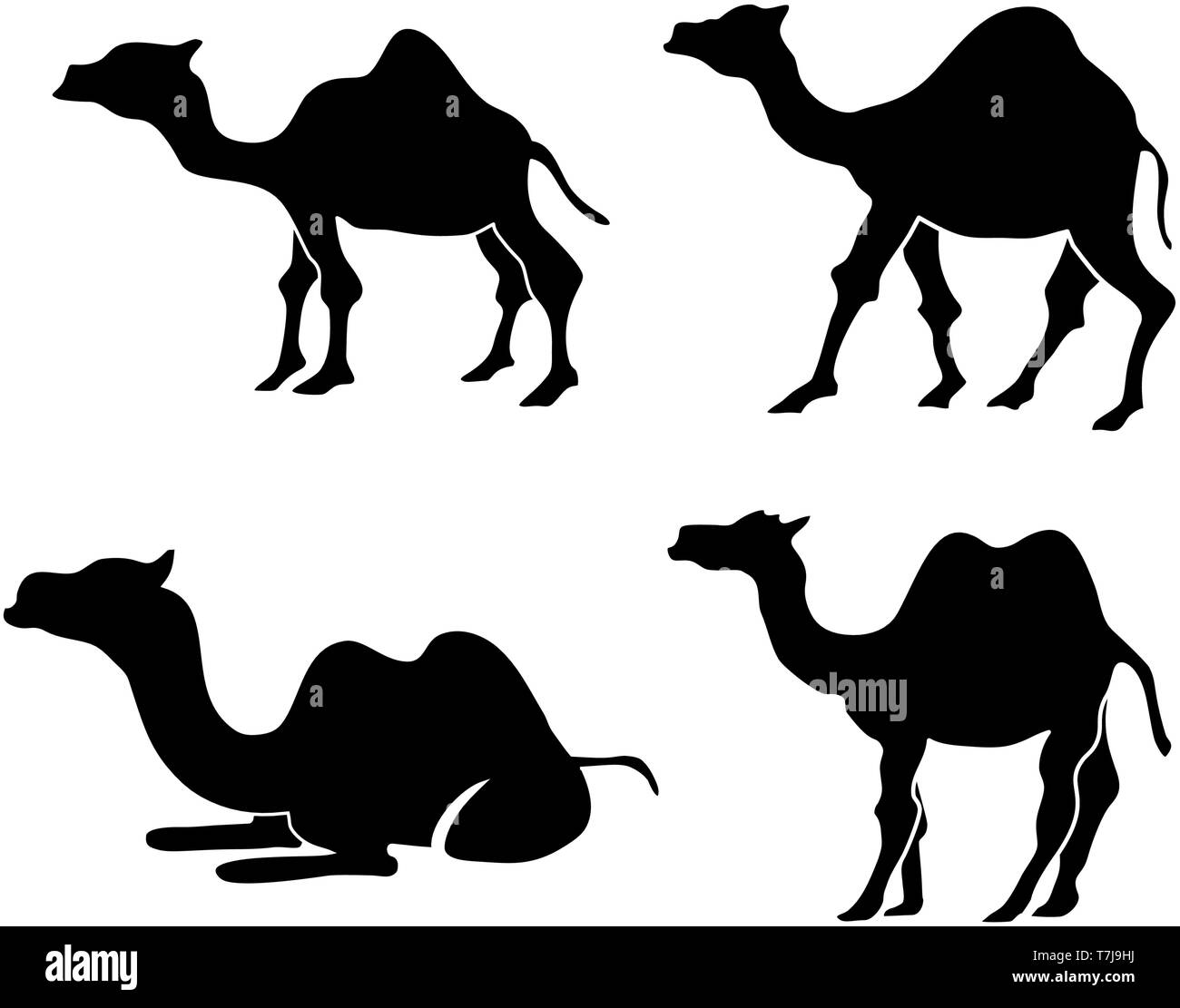 Camel Illustration Animal Vector Design Stock Vector Image & Art - Alamy