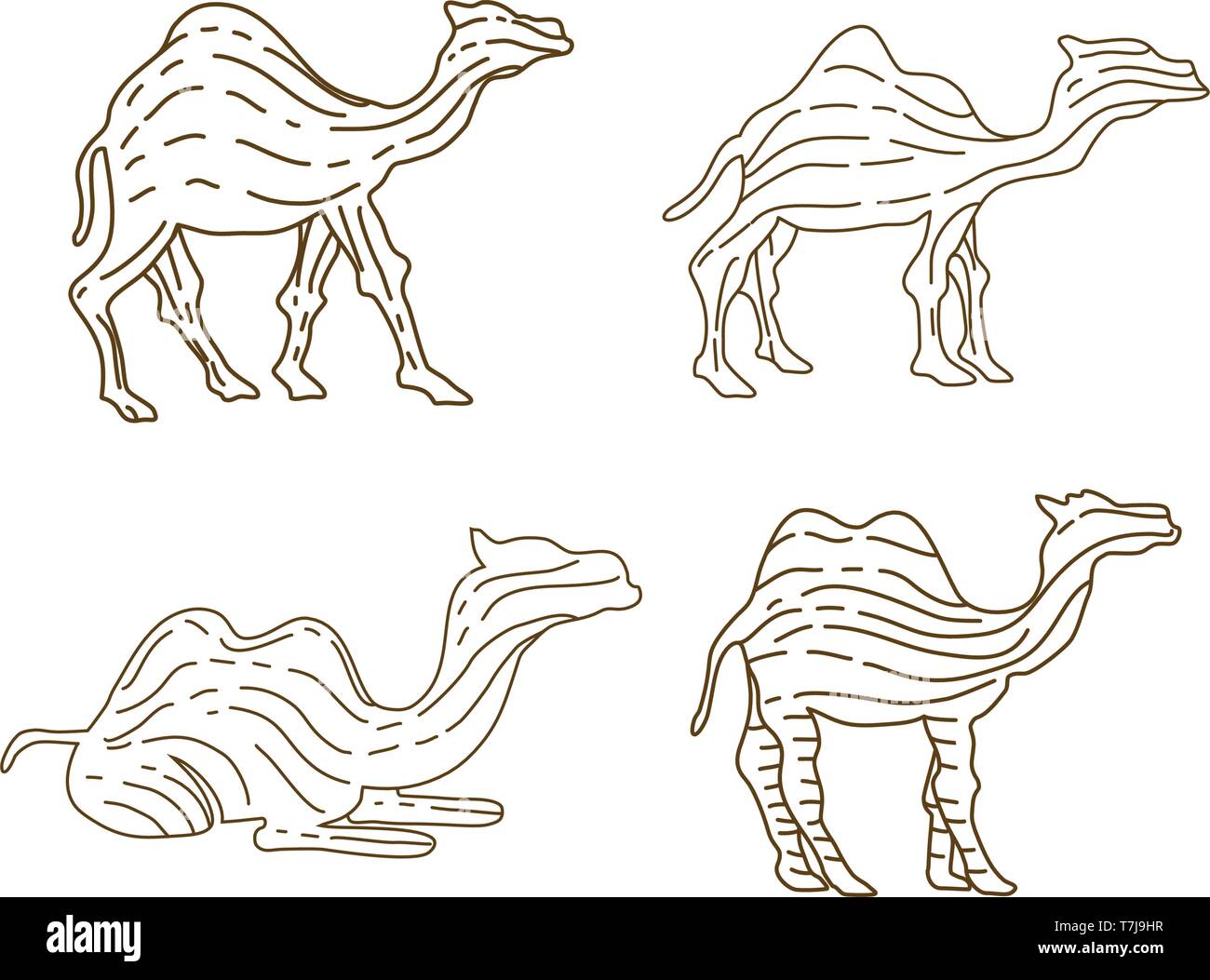 Camel travels Stock Vector Images - Alamy