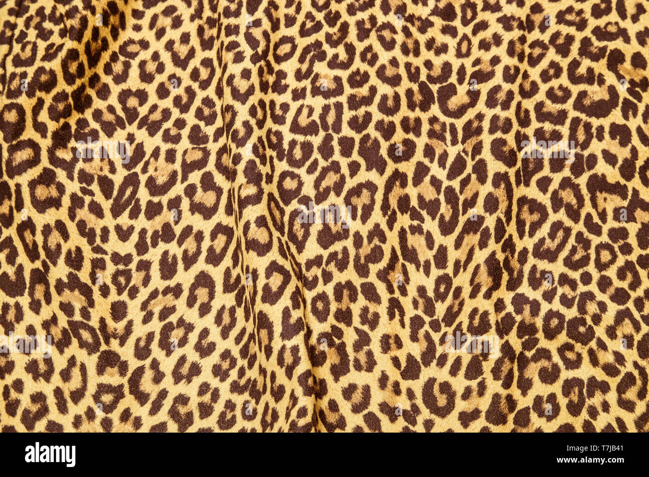 Jaguar skin hi-res stock photography and images - Alamy