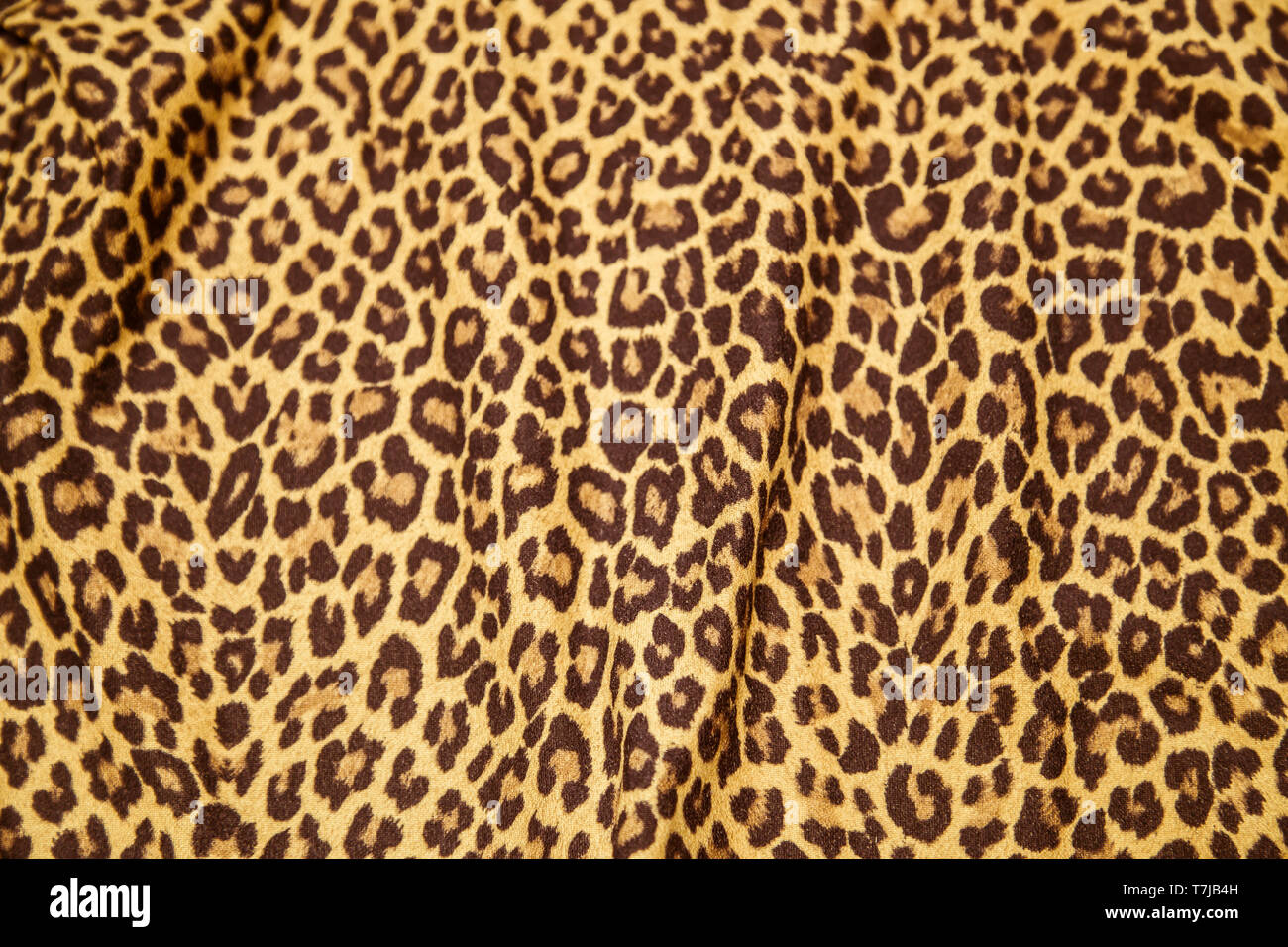 Leopard background texture safari pattern leopard print fabric material ...