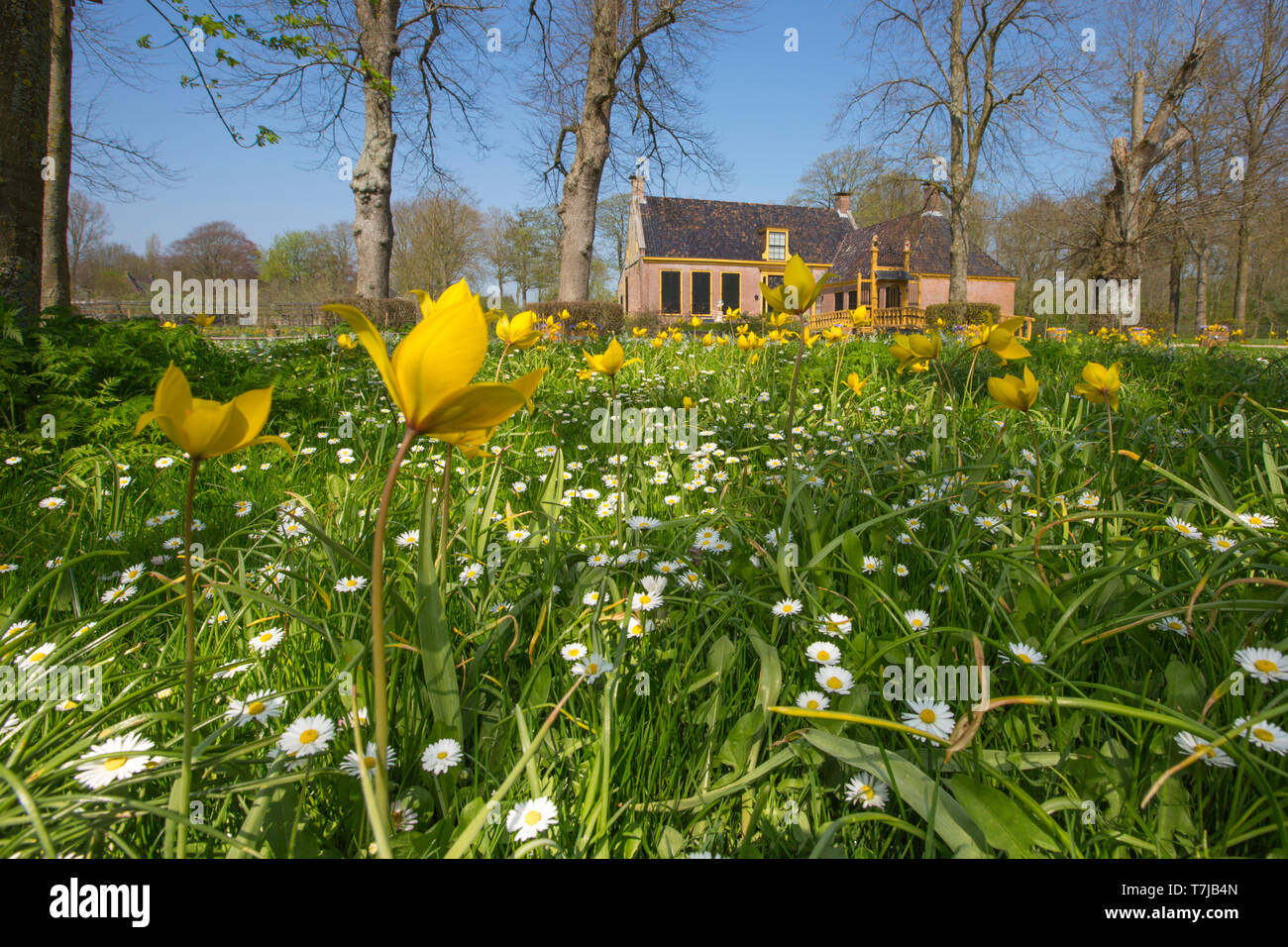 Dekema hi-res stock photography and images - Alamy