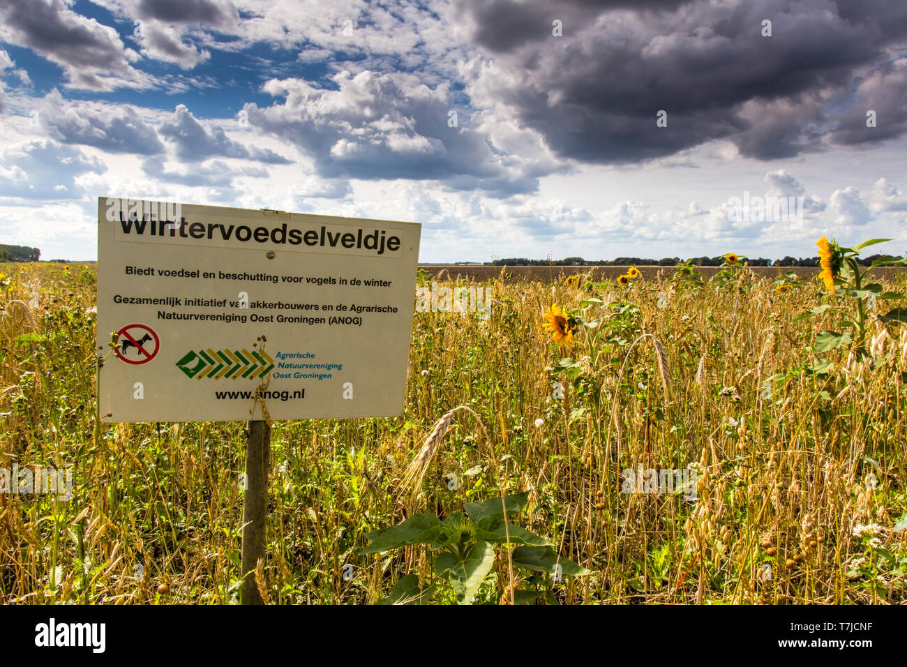 Friendly farming hi-res stock photography and images - Alamy