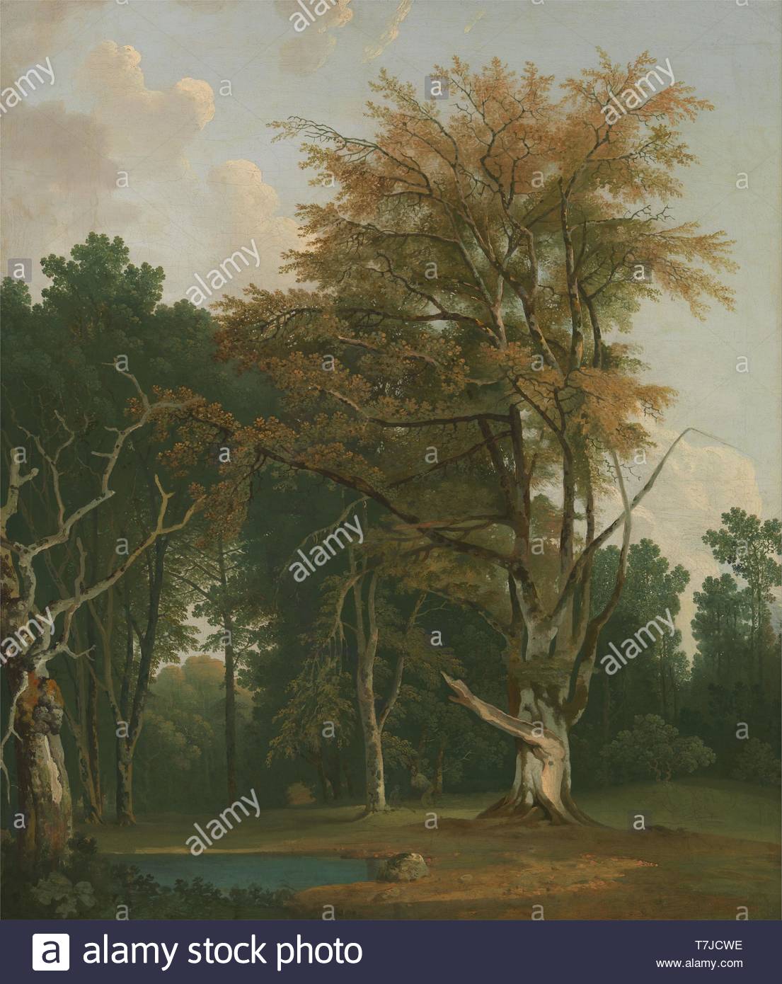 Farington Stock Photos & Farington Stock Images - Alamy