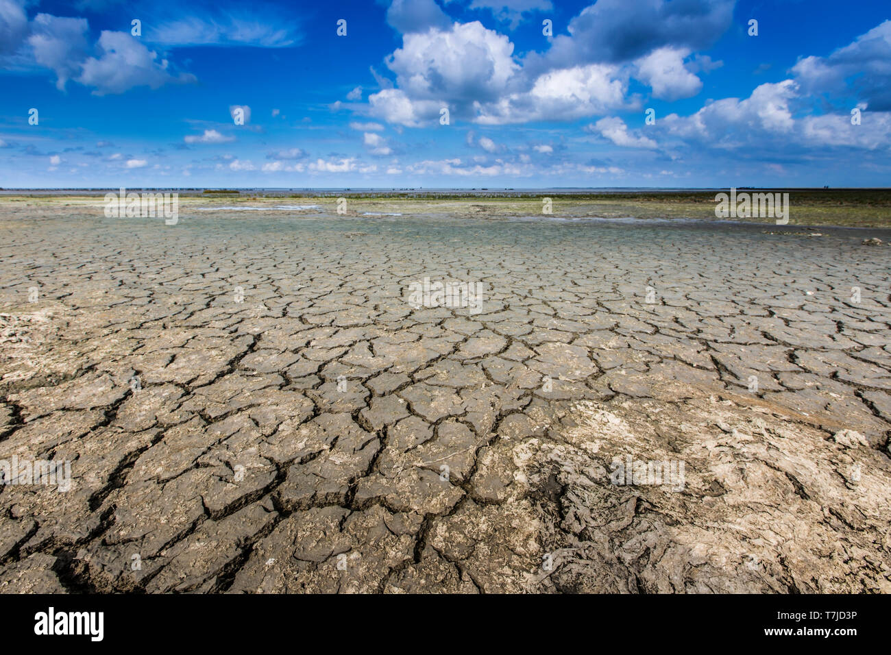 Dutch waddensea hi-res stock photography and images - Alamy