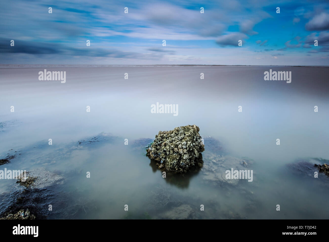 Estuary Dutch Wadden Sea Stock Photo - Alamy