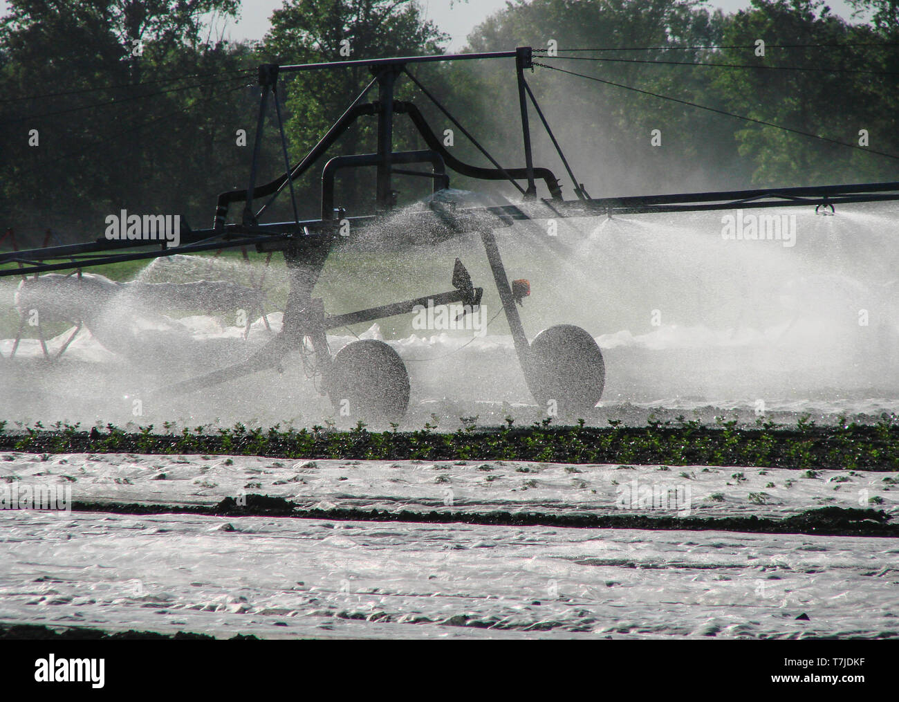 Artificial irrigation hi-res stock photography and images - Alamy