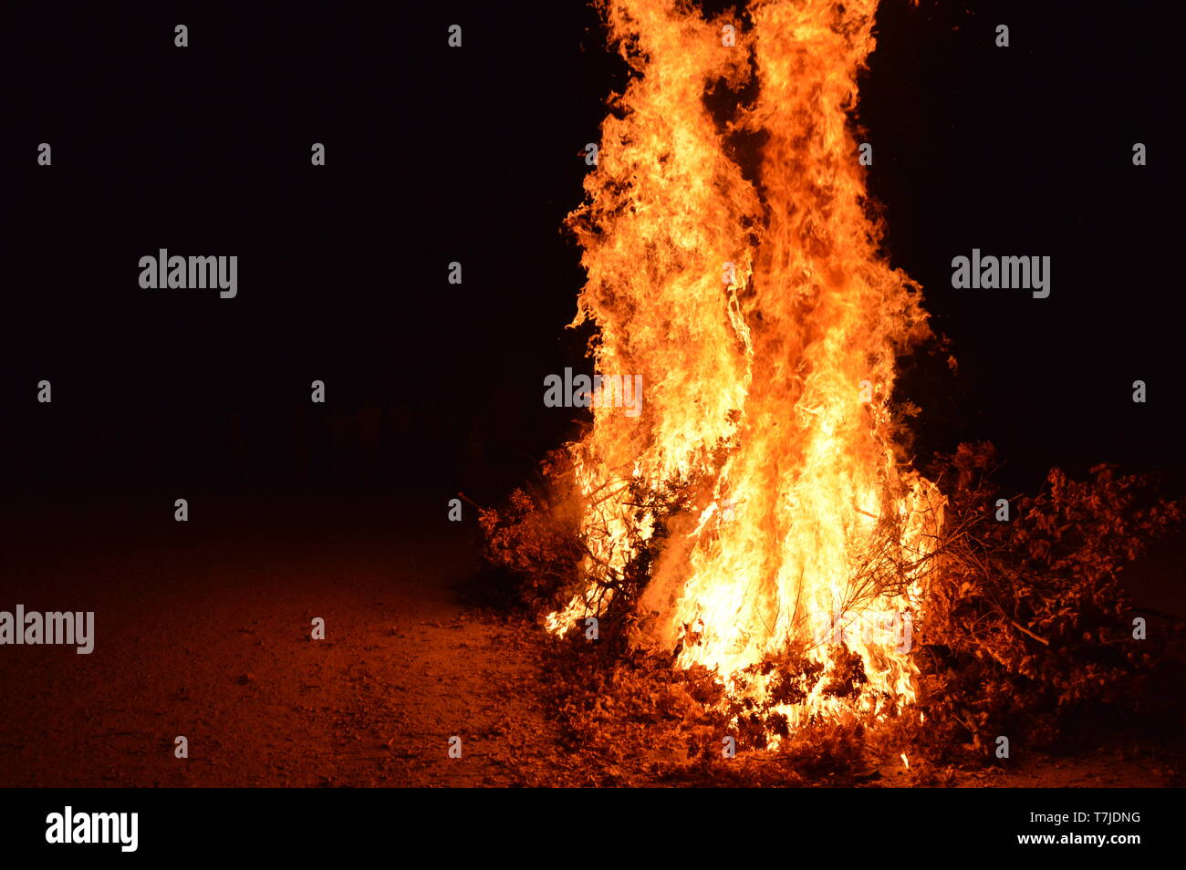 A big wood fire in the night Stock Photo - Alamy