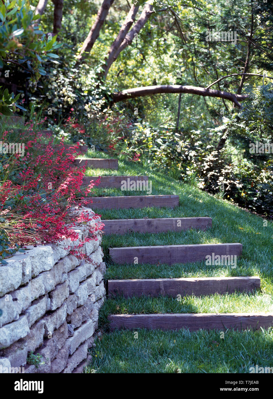 Grass covered steps hi-res stock photography and images - Alamy
