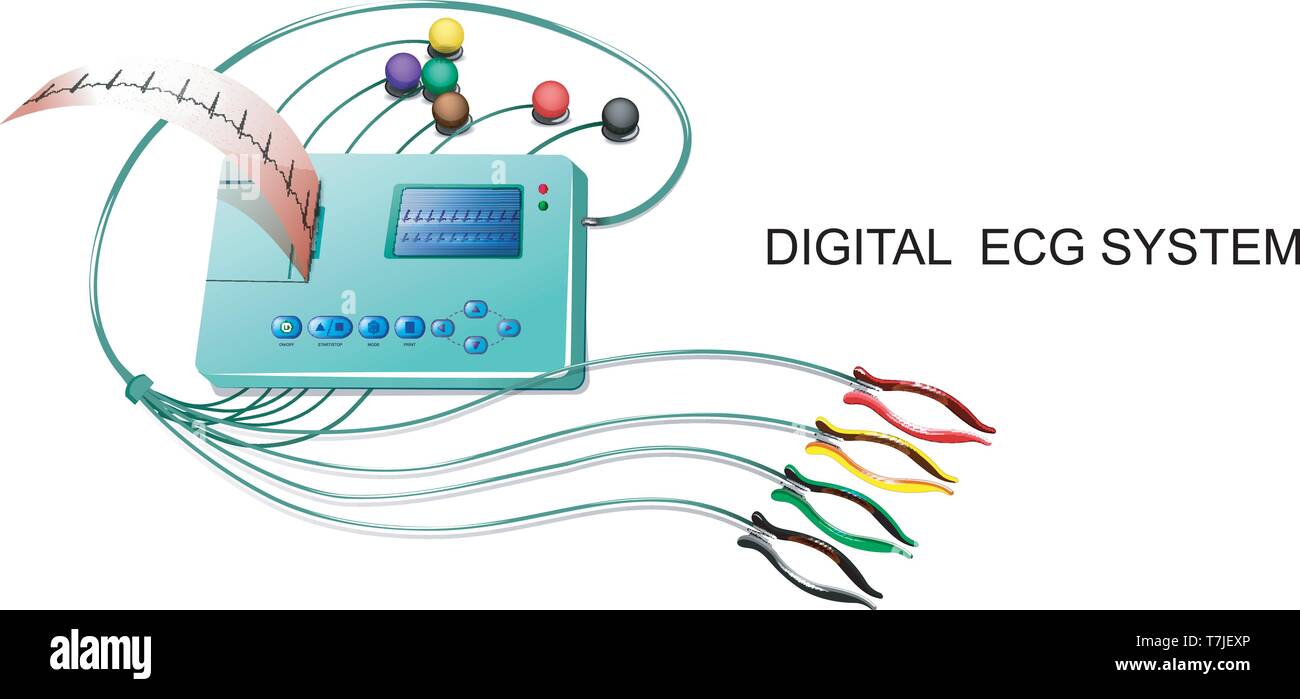 vector illustration of a digital ECG system Stock Vector Image & Art ...