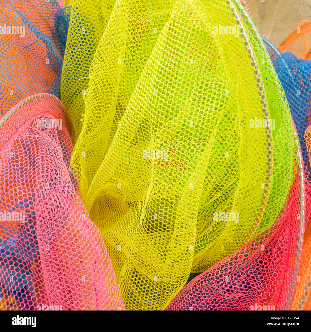 Rockpooling nets hi-res stock photography and images - Alamy