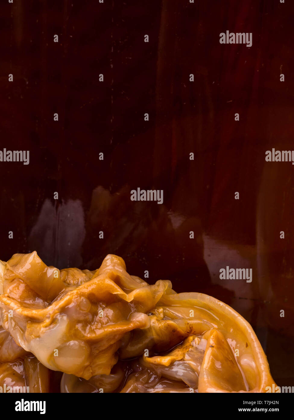 Kombucha superfood pro biotic beverage on white gauze background Stock ...