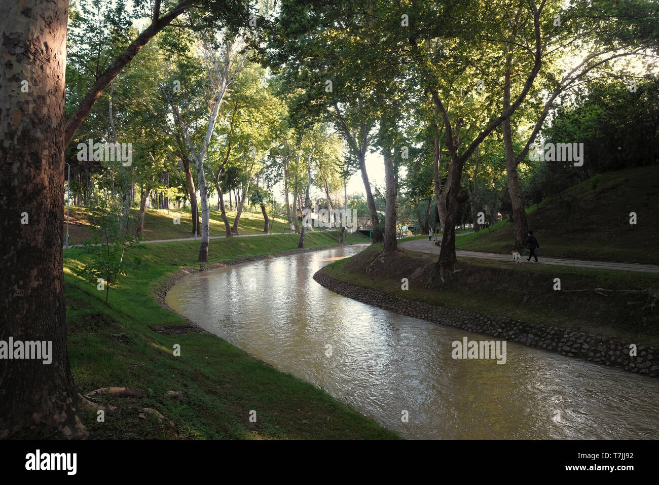 Canal of Ankhor river in Tashkent capital of Uzbekistan Stock Photo - Alamy